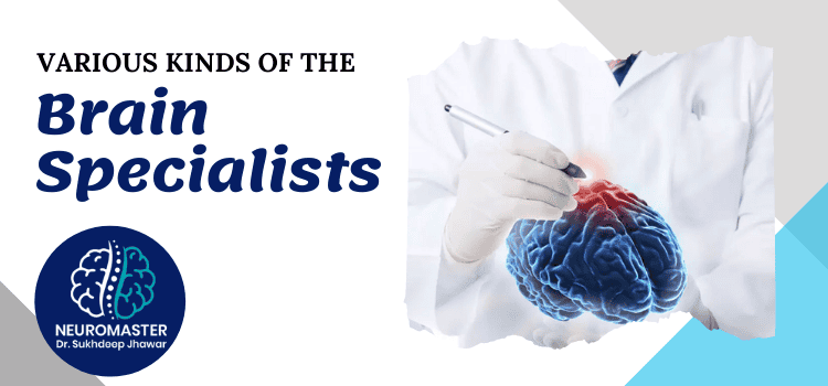 Which are the various kinds of specialists that treat brain disorders?